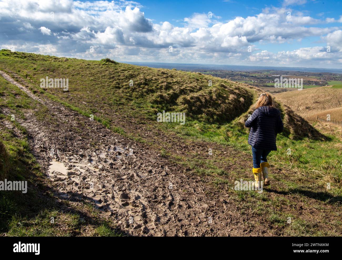 A muddy walk in the Wiltshire countryside around Roundway Down near ...