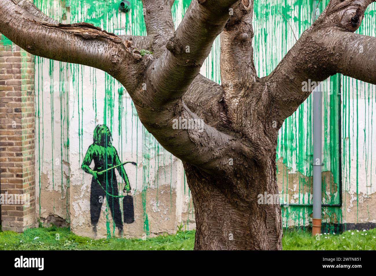 Banksy Tree artwork and street art at Christie Court, Hornsey Road ...