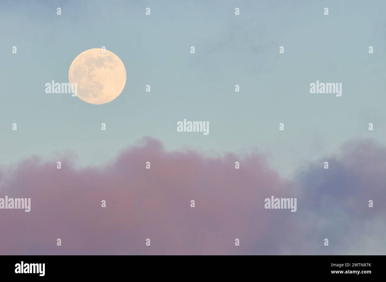 Full moon dusk pine hi-res stock photography and images - Alamy