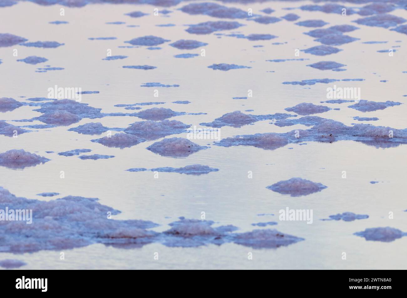 Den ferrer hi-res stock photography and images - Alamy