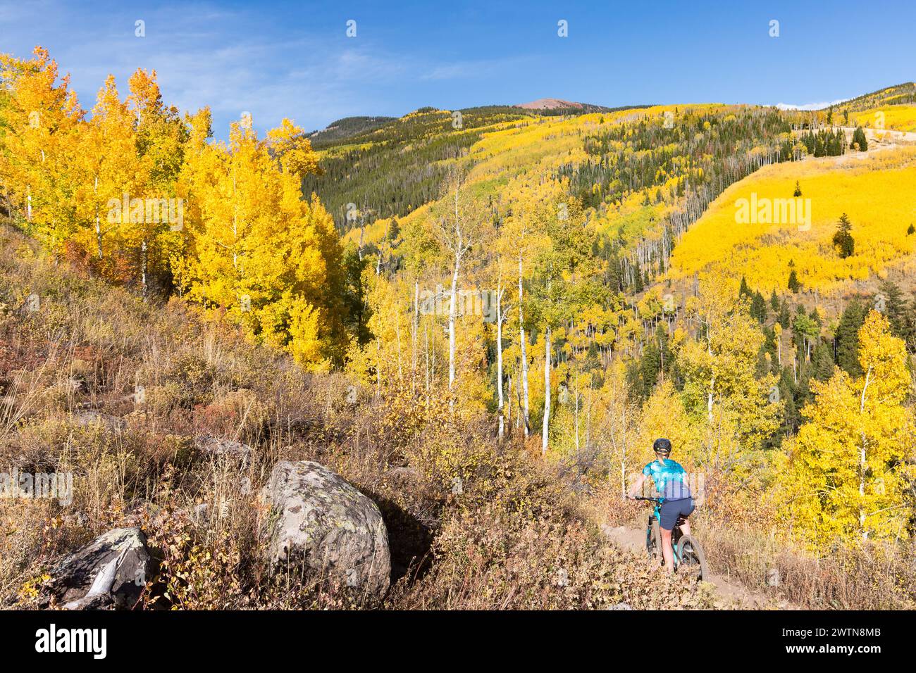 Autumn in Vail Stock Photo - Alamy