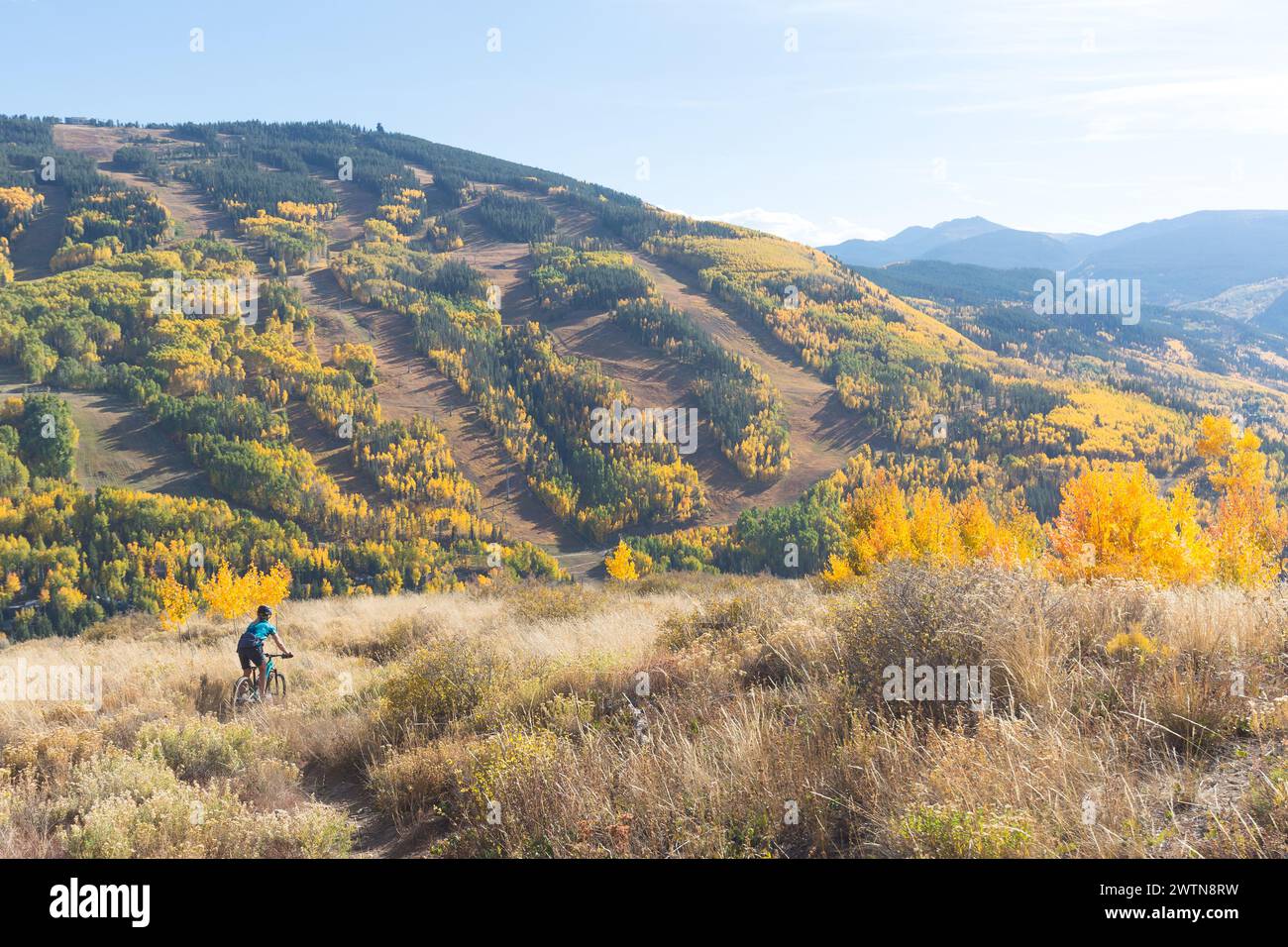 Autumn in Vail Stock Photo - Alamy