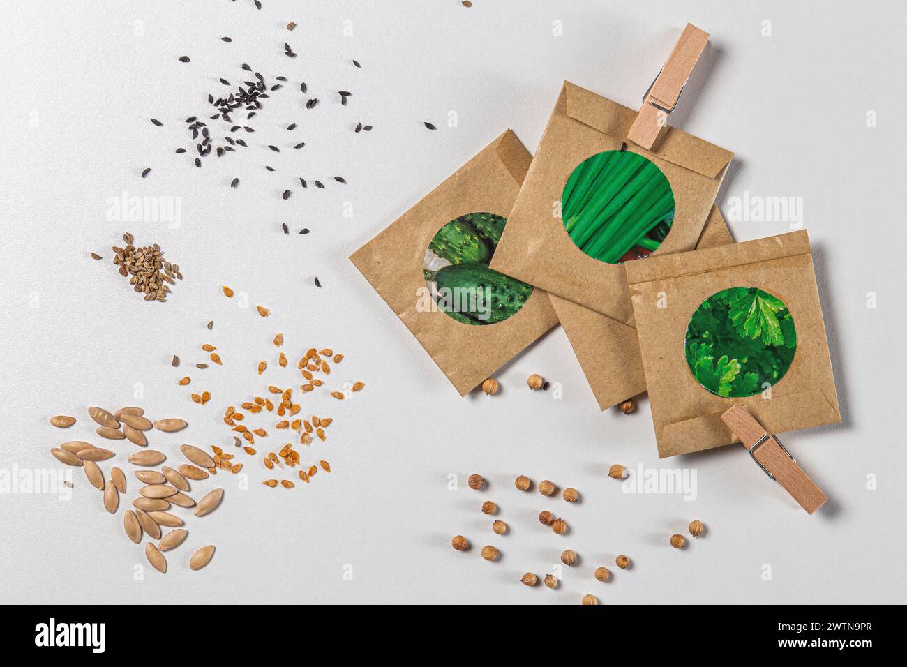 Seeds of various vegetables and packets of seeds on a white background ...