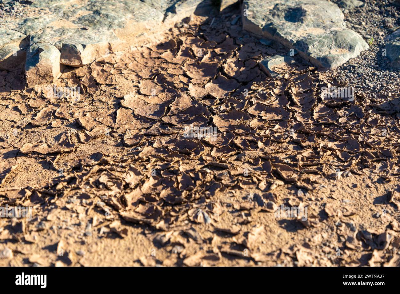 Dried up riverbed hi-res stock photography and images - Alamy