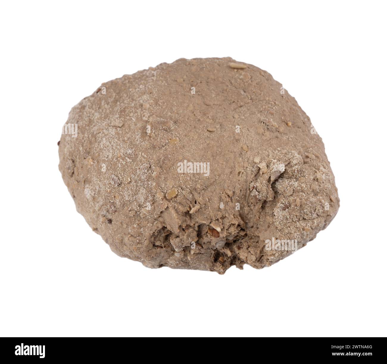 loaf of dough for leavened cereal bread on a transparent background ...