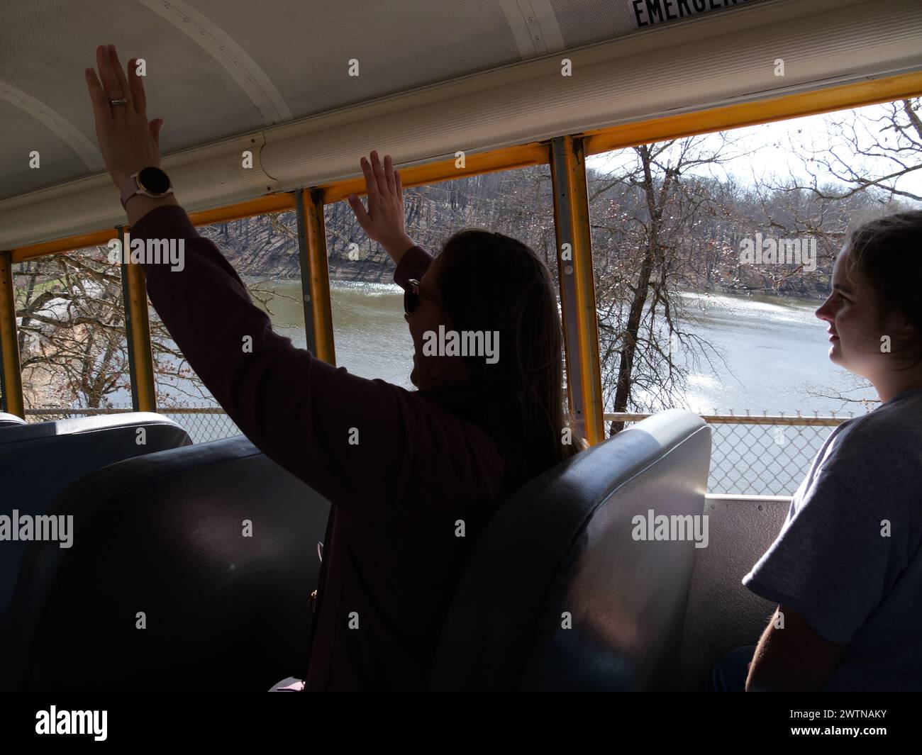Drive thru animal park hi-res stock photography and images - Alamy