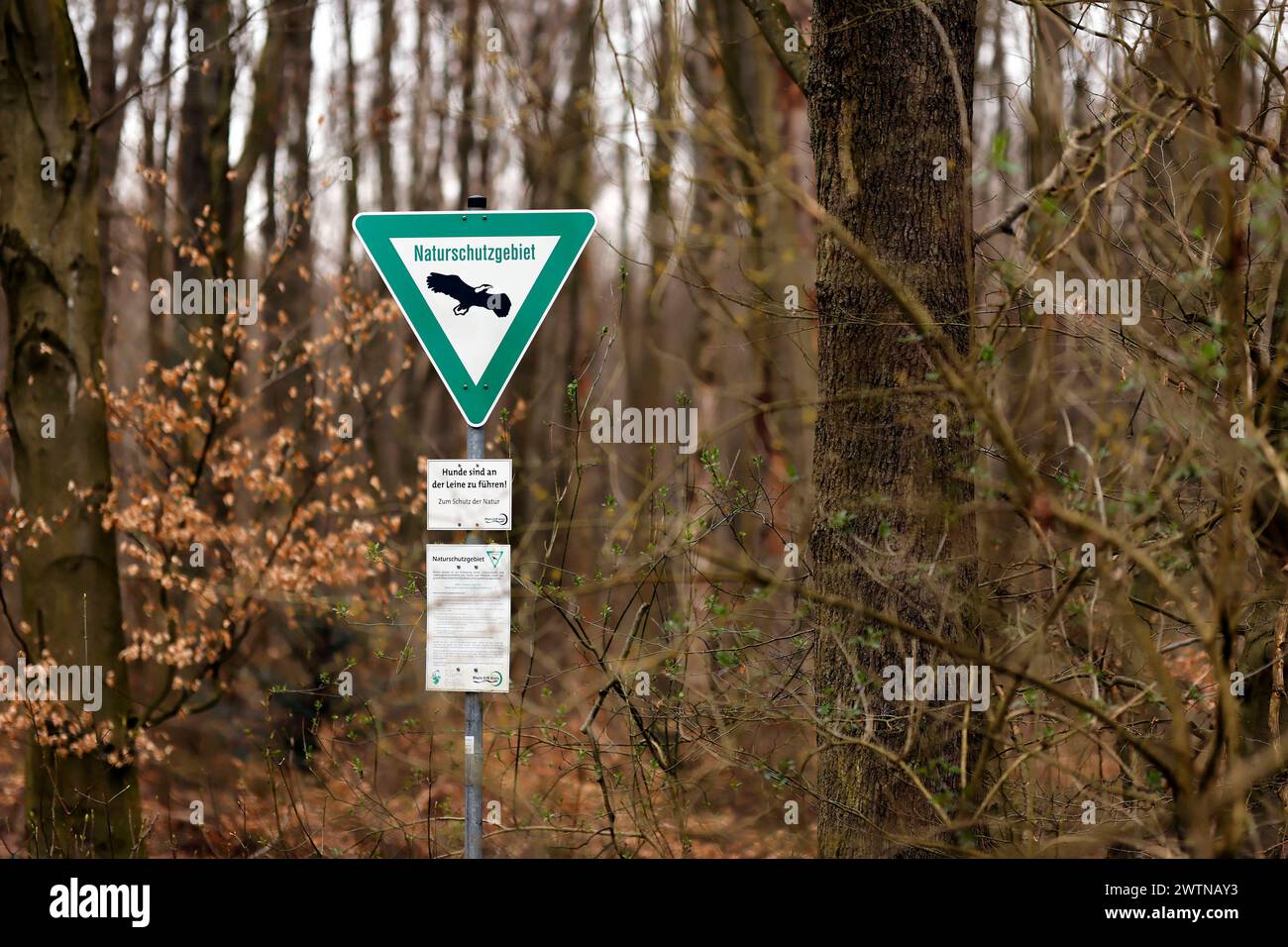 Ein Hinweisschild Naturschutzgebiet im Königsdorfer Forst. Themenbild ...