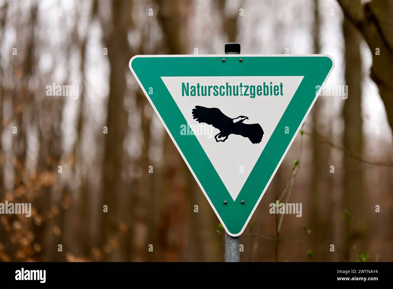 Ein Hinweisschild Naturschutzgebiet im Königsdorfer Forst. Themenbild ...
