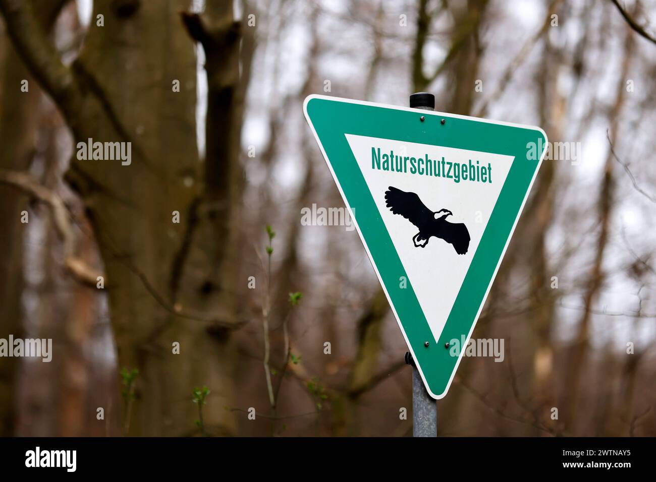 Ein Hinweisschild Naturschutzgebiet im Königsdorfer Forst. Themenbild ...