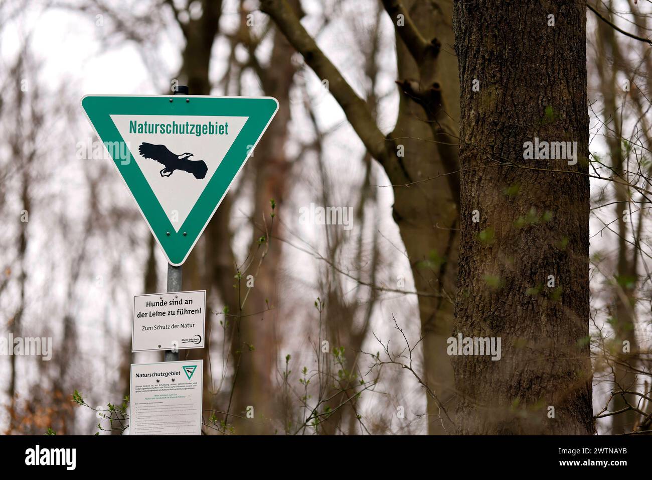 Ein Hinweisschild Naturschutzgebiet im Königsdorfer Forst. Themenbild ...