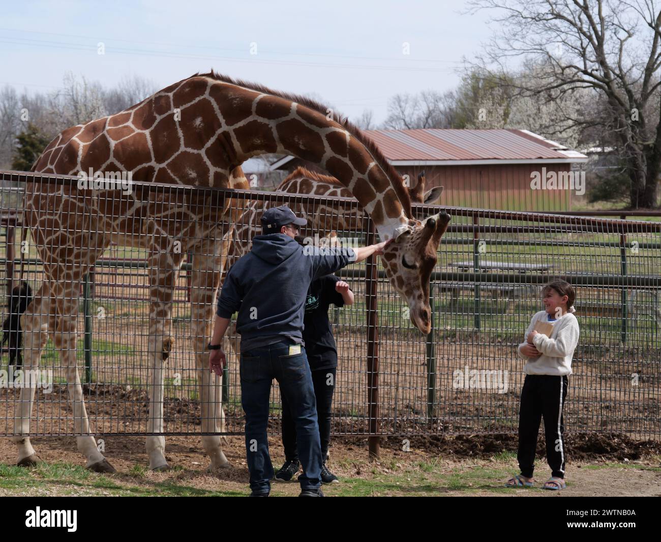 Strafford, Missouri - March 12: Wild Animal Safari Springfield, MO ...