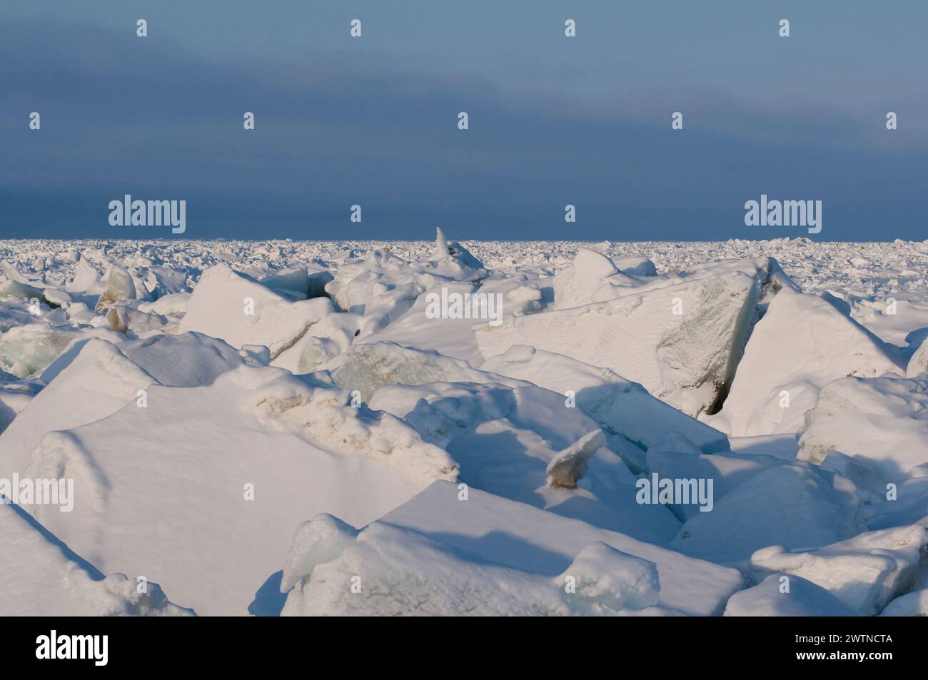 Seascape of rough pack ice over the Chukchi sea in springtime, off ...