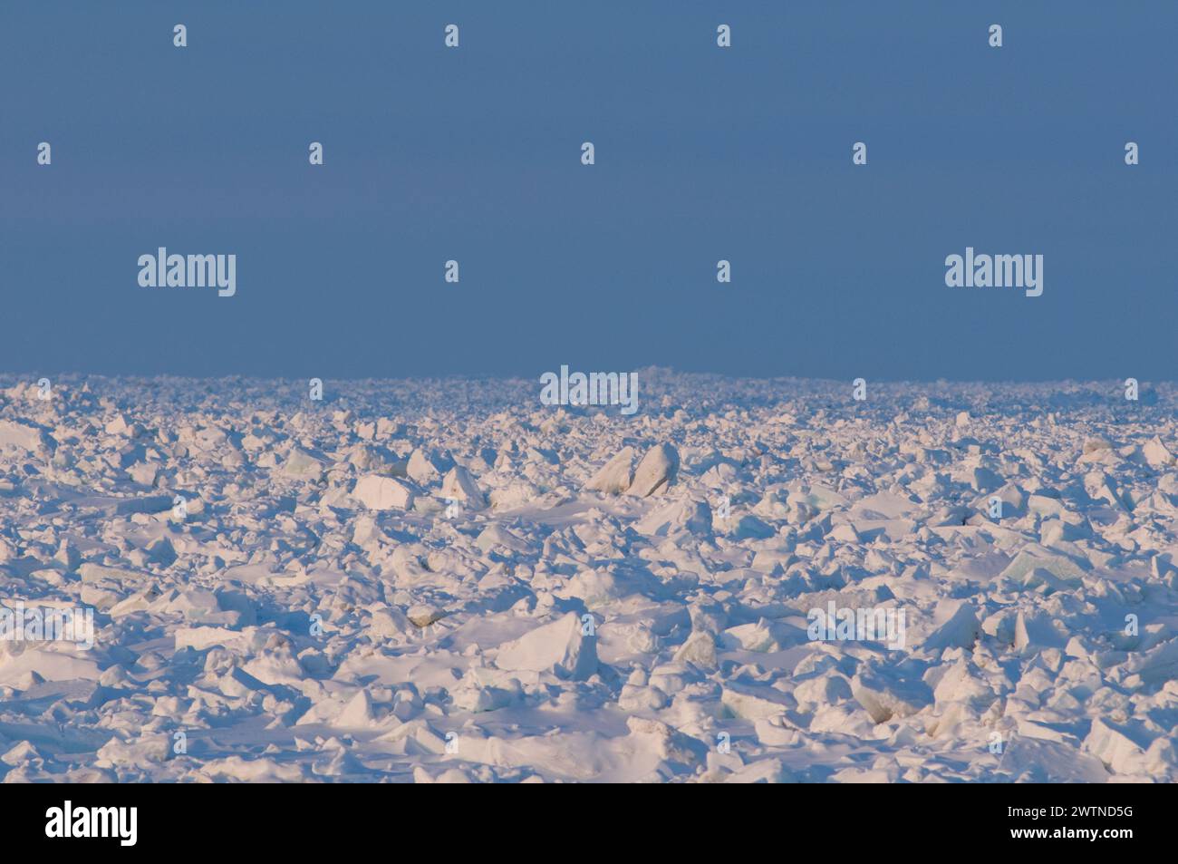 Seascape of rough pack ice over the Chukchi sea in springtime, off ...