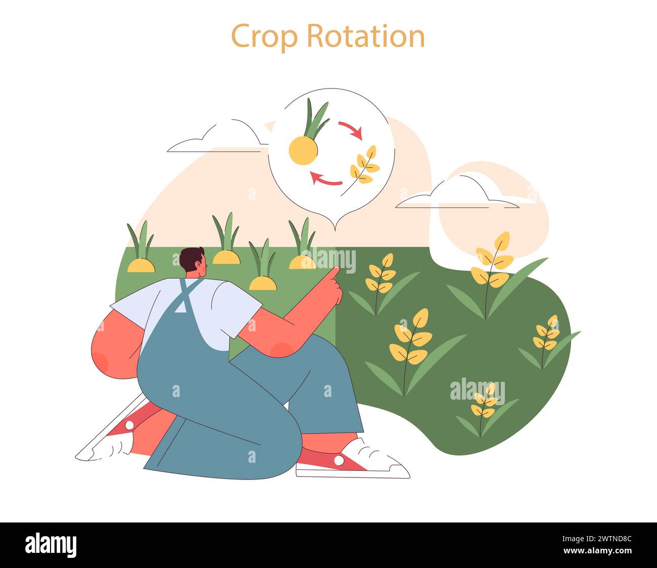 Crop Rotation concept. Farmer planning diverse plant cycles to promote ... Crop Rotation concept. Farmer planning diverse plant cycles to promote ...