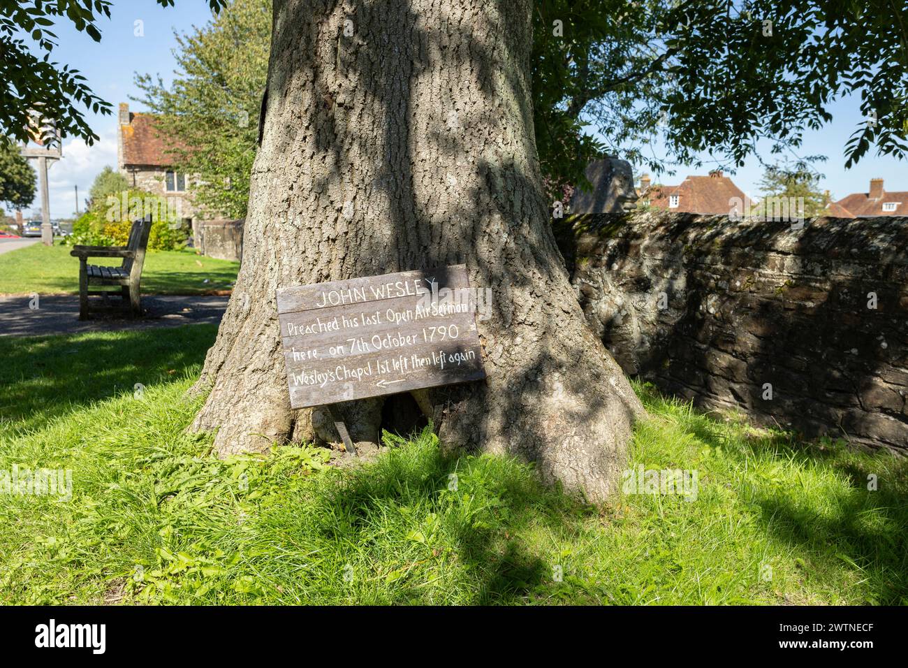 Thomas wesley tree hi-res stock photography and images - Alamy