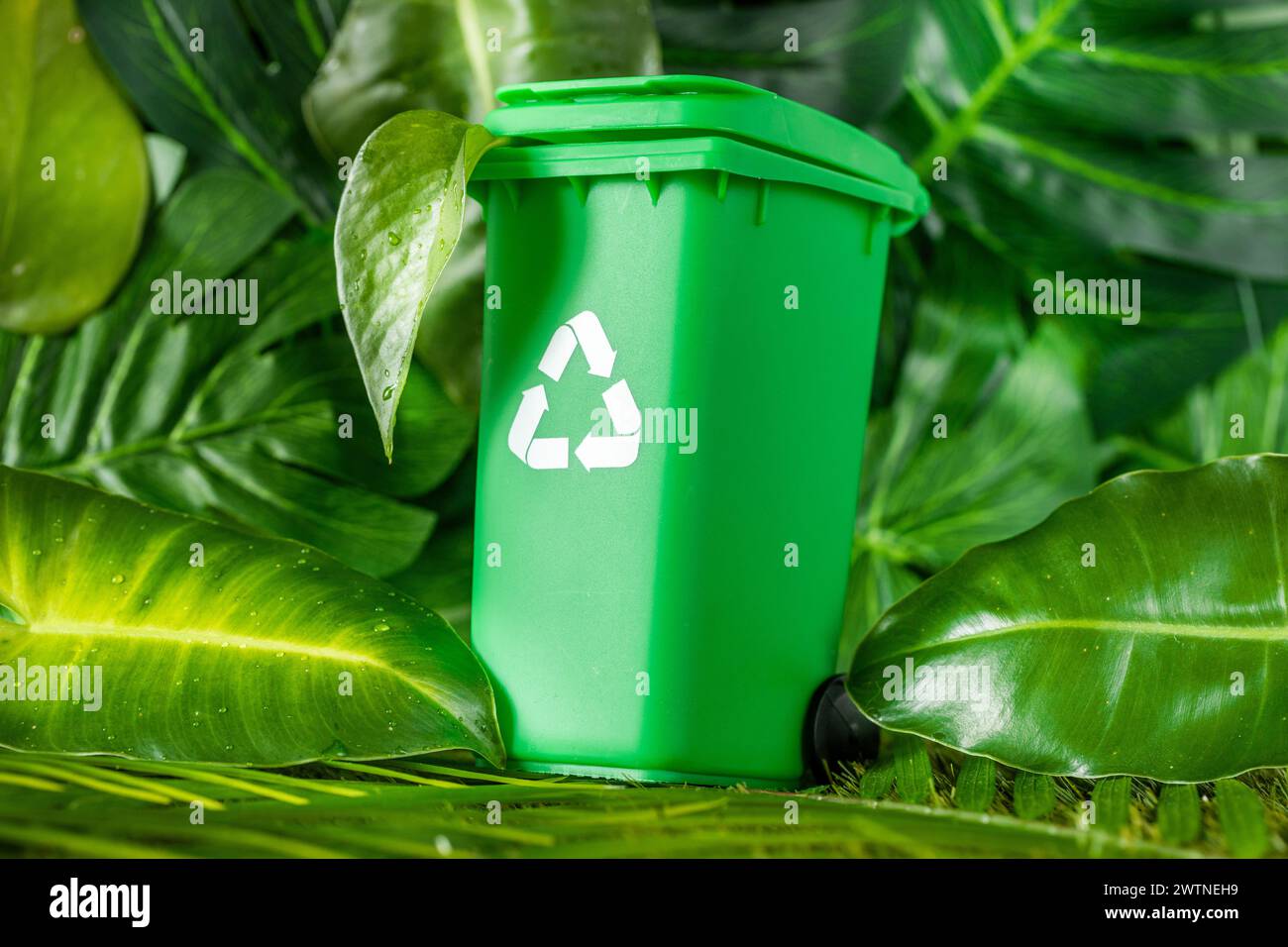 Green waste bin with recycling symbol standing among the natural lush ...
