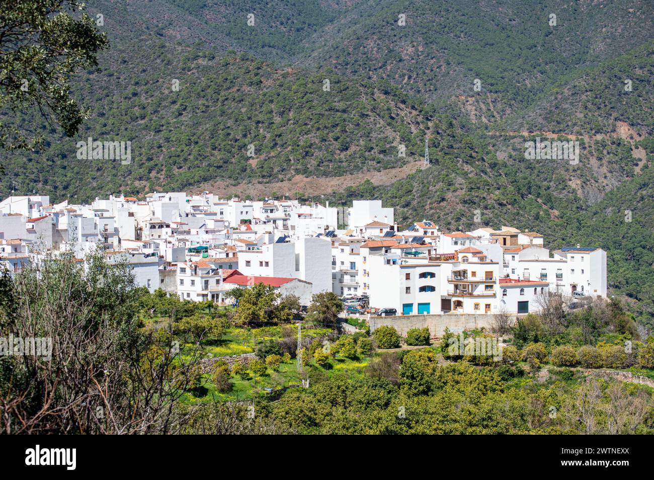 ISTAN, SPAIN - MARCH 16, 2024: Panoramic view of Istan village in Istan ...
