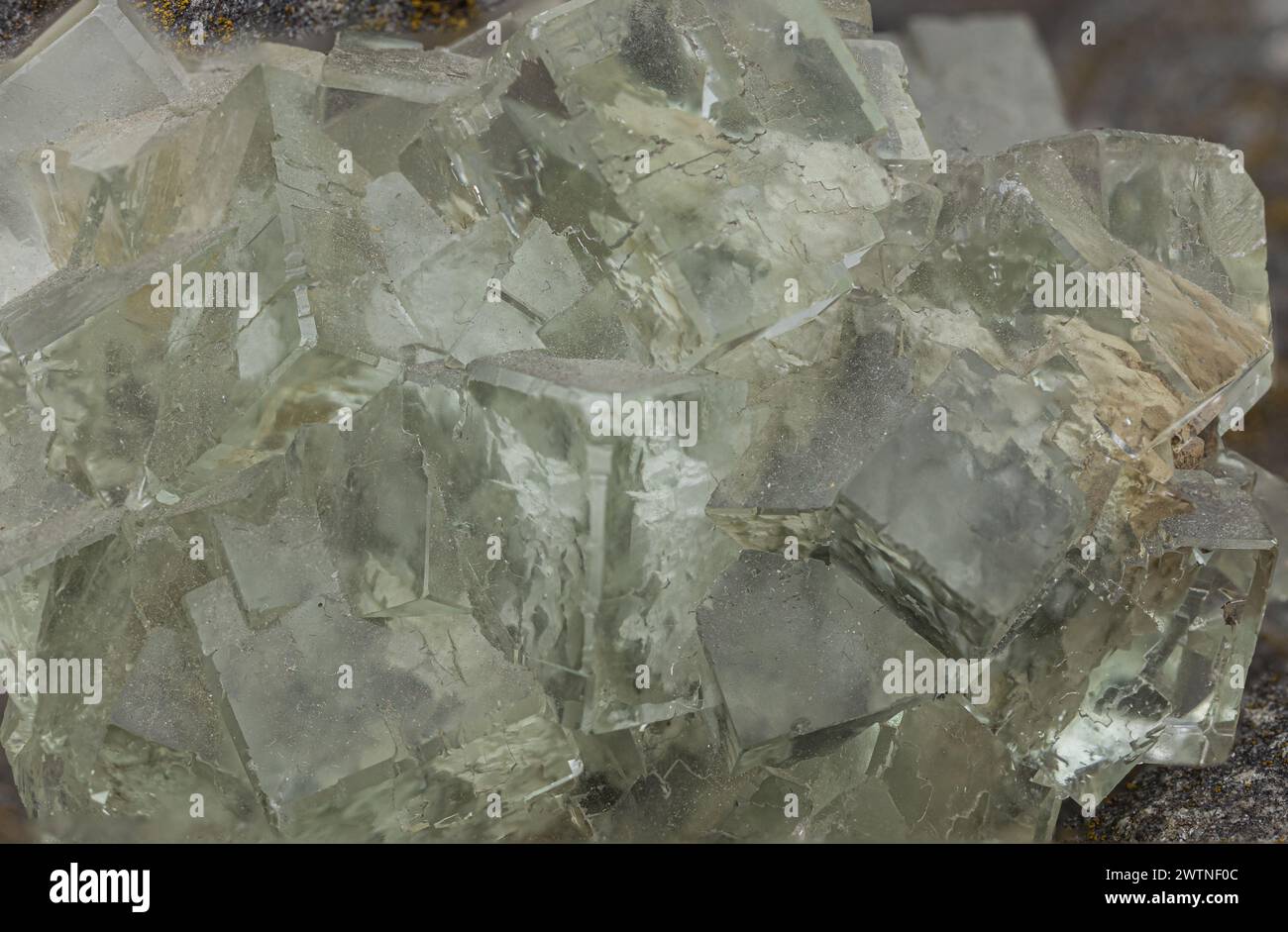 Translucent green fluorite crystals on matrix close-up natural mineral ...
