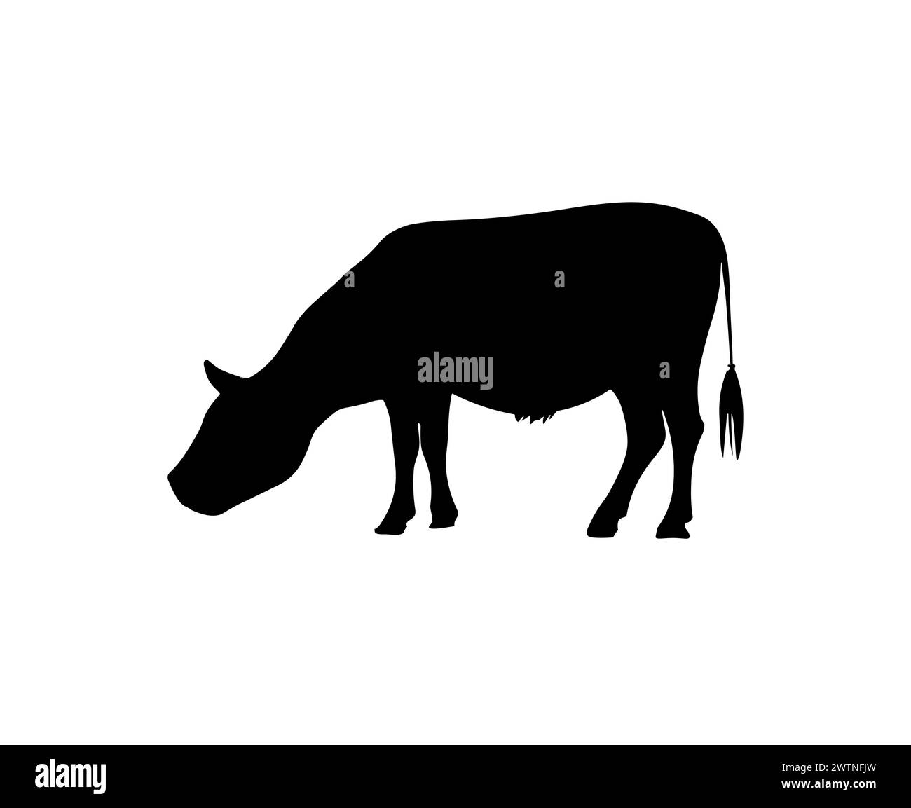 Cow silhouette character vector illustration icon. Cow logo milk ...