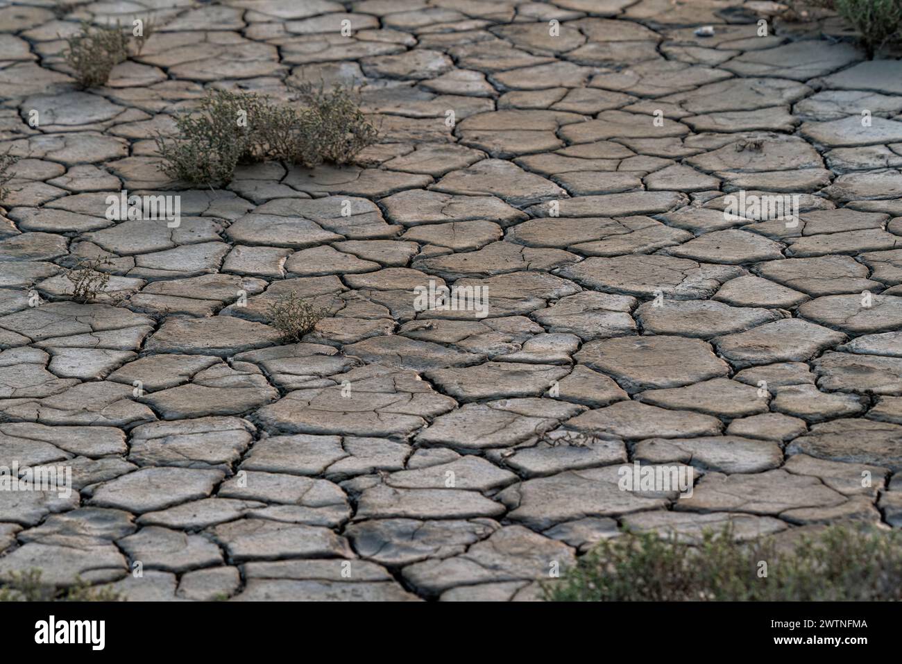 The concept of global warming. Dry cracks in the land, severe water ...