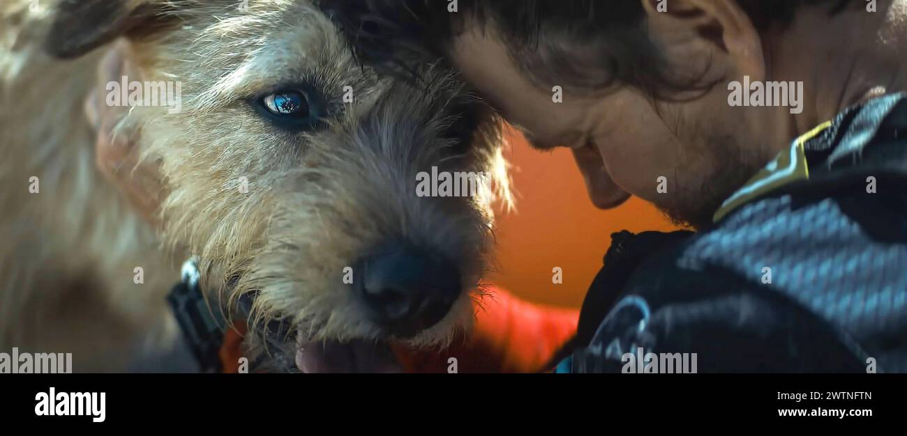 ARTHUR THE KING, Mark Wahlberg, 2024. © Lions Gate Films /Courtesy ...