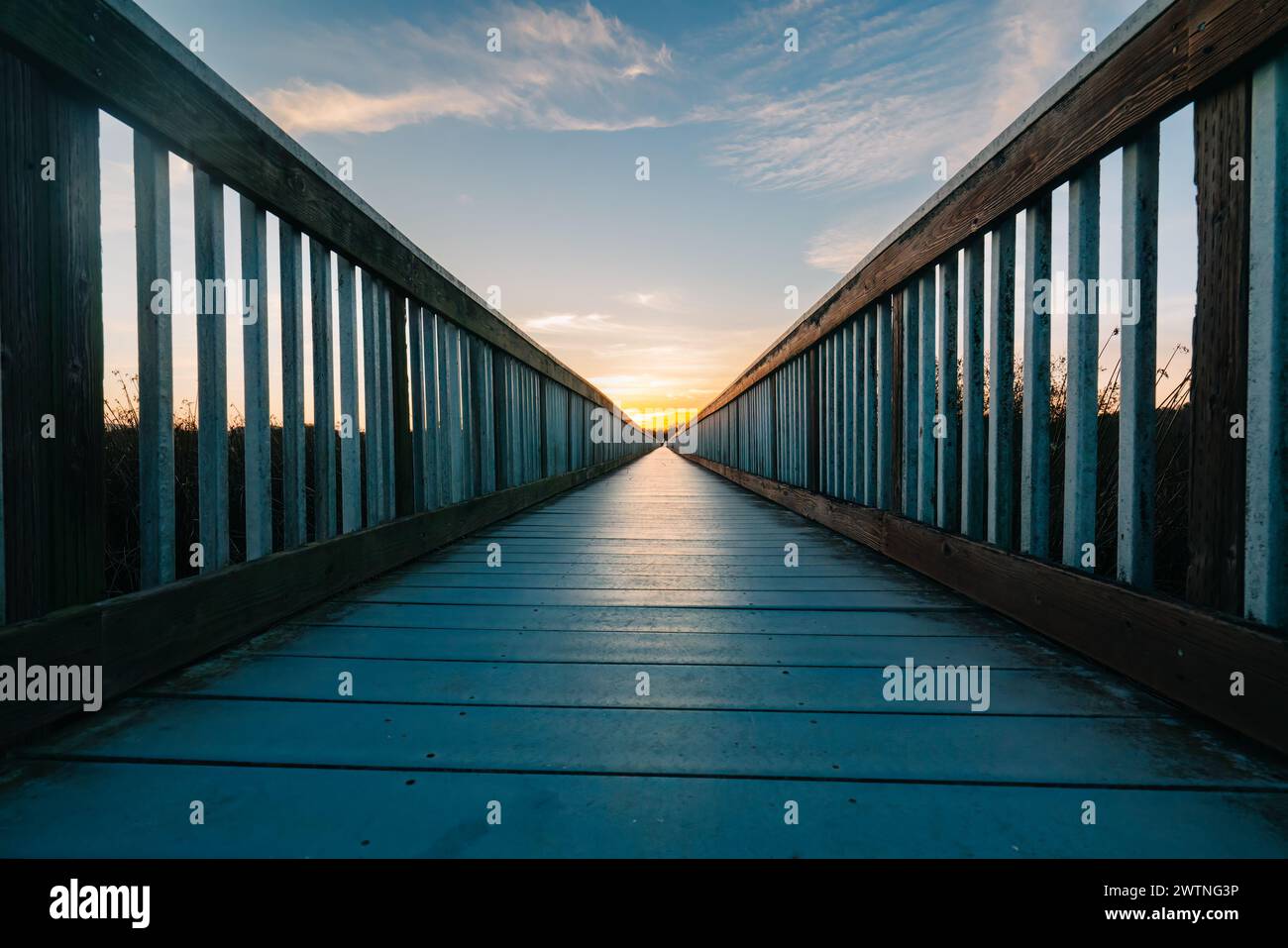 A long wooden boadwalk seems to stretch to infinity. Walkway leading to ...