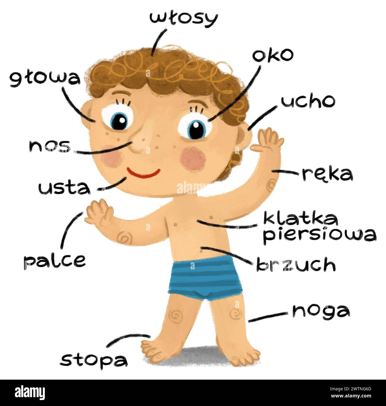 cartoon scene with young boy as anatomy model of body parts on white ...