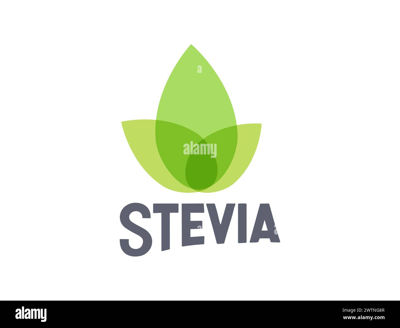 Stevia rebaudiana logo icon. Stevia leaf vector logo badge label plant ...