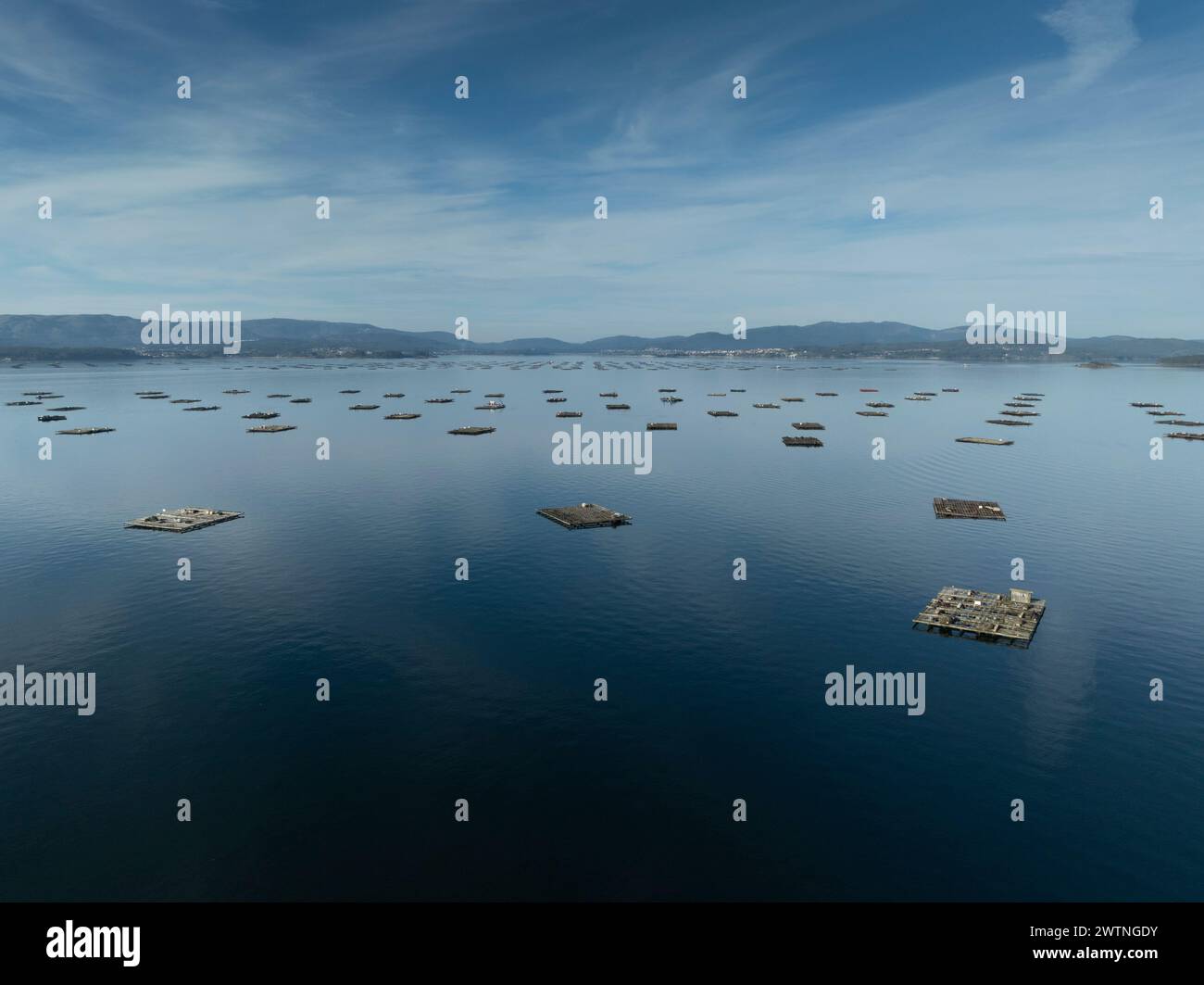 Aerial of mussel aquaculture hi-res stock photography and images - Alamy