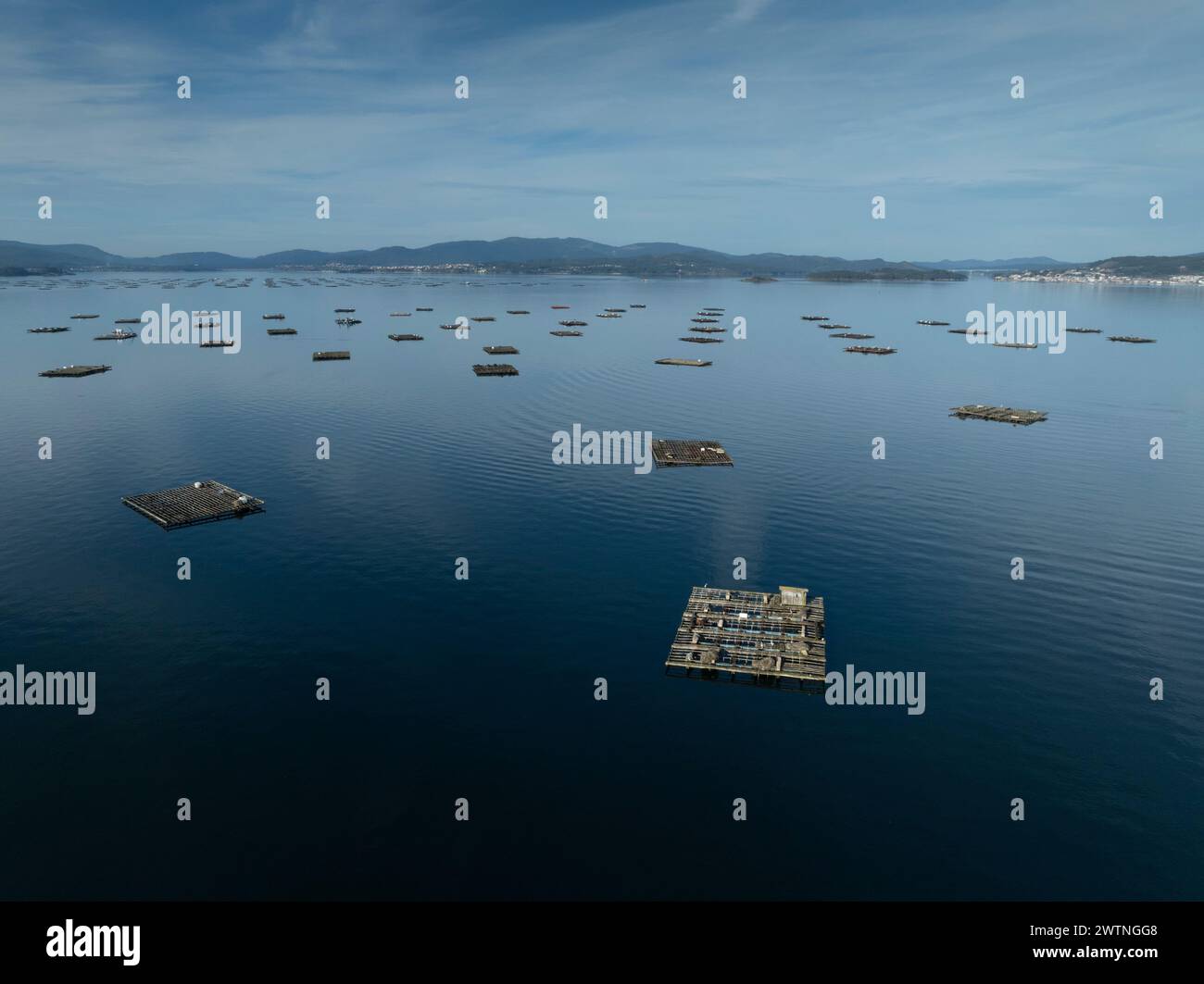 Aerial of mussel aquaculture hi-res stock photography and images - Alamy