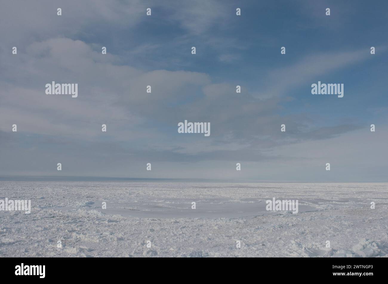 Seascape of rough pack ice over the Chukchi sea in springtime, off ...