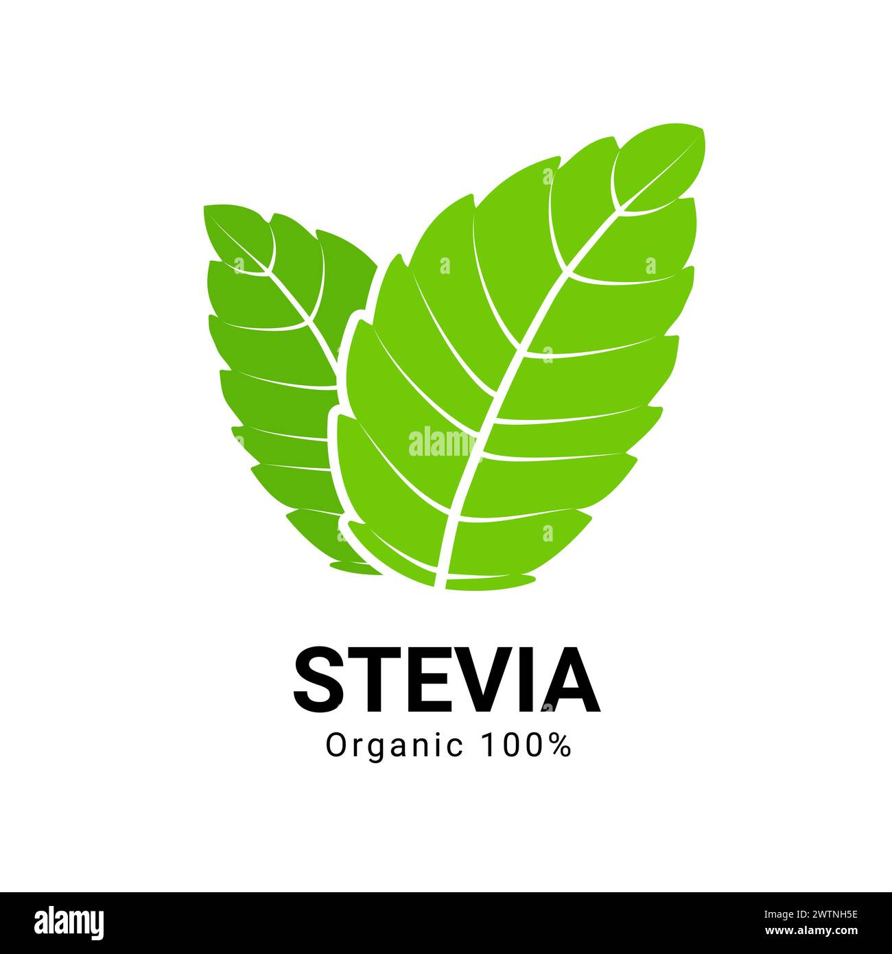 Stevia rebaudiana logo icon. Stevia leaf vector logo badge label plant ...