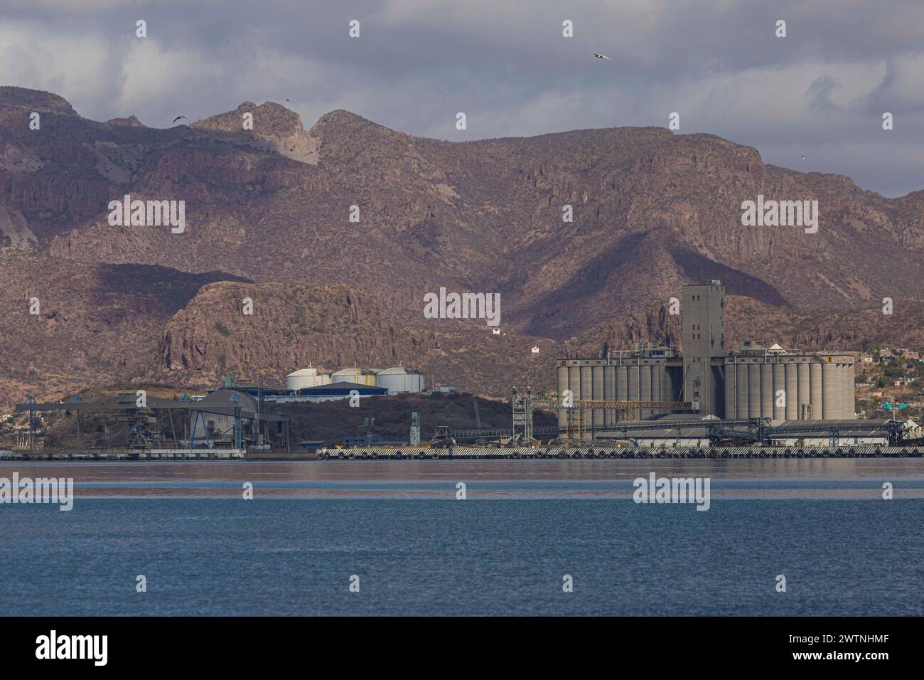 Maritime terminal and Port Precinct of Guaymas, Sonora, specialized ...