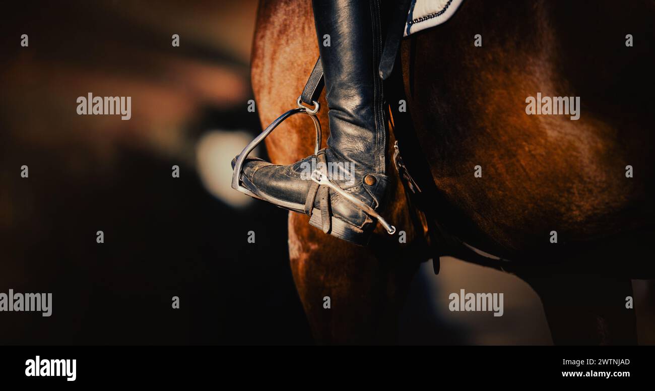 The leg of a rider sitting on horseback, wearing a pair of riding boots ...