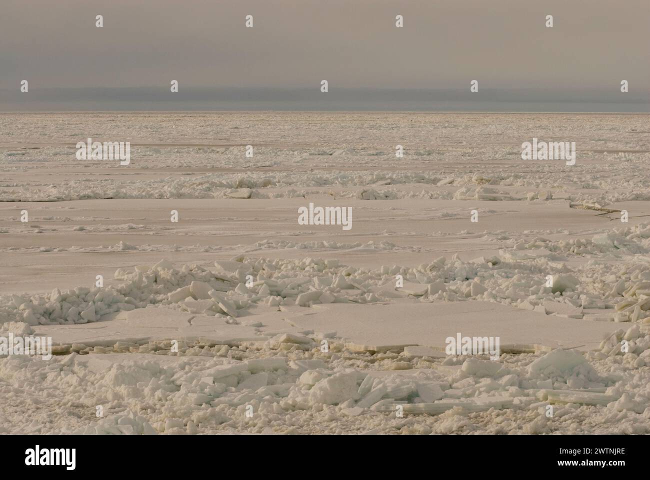 Seascape of rough pack ice over the Chukchi sea in springtime, off ...