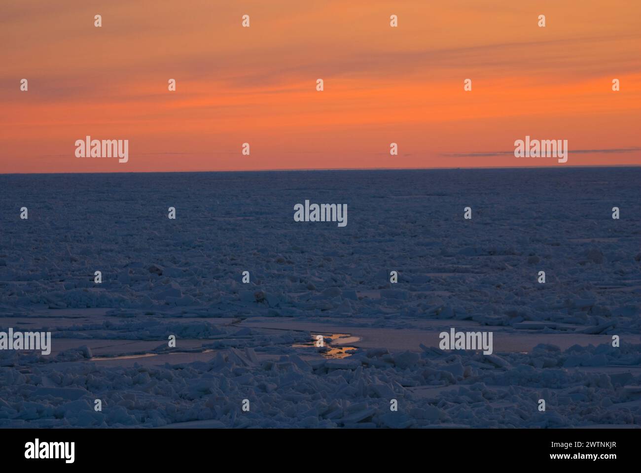 Seascape of rough pack ice over the Chukchi sea in springtime, off ...