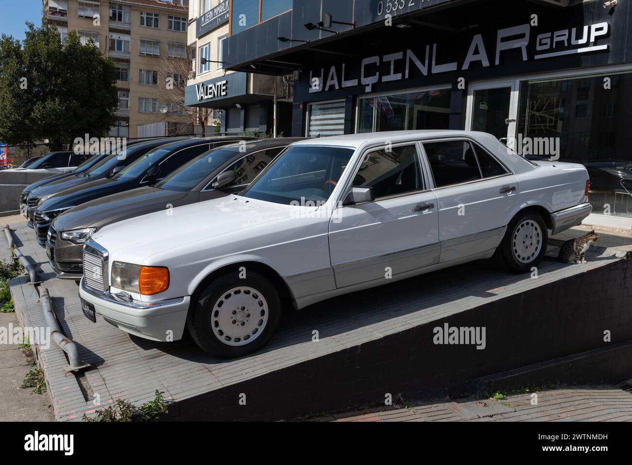ISTANBUL, TURKEY - MARCH 12, 2024: 1989 Mercedes Benz 300 is a range of ...