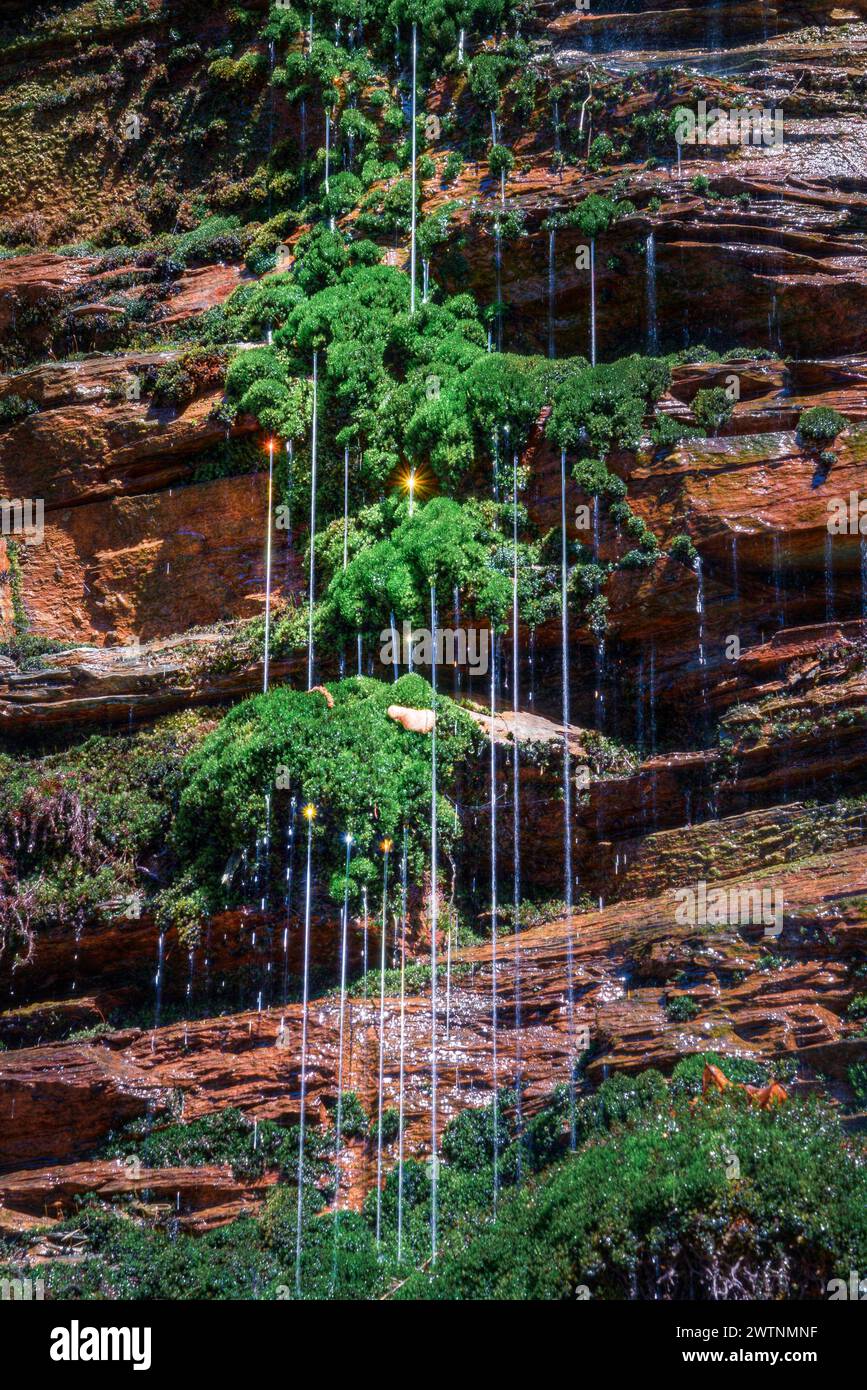 Lighting effects caused by the sun rays passing through the fine ...