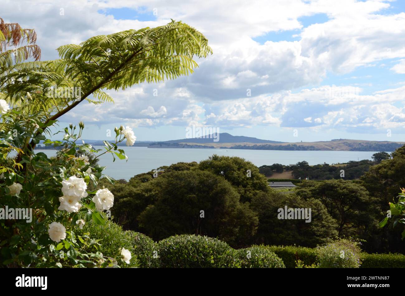 View of Auckland Harbor and Rangitoto from Waiheke Island Stock Photo ...