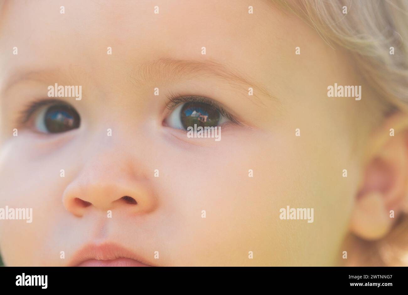 Portrait of a cute Baby boy, cropped face. Close up caucasian kids face ...