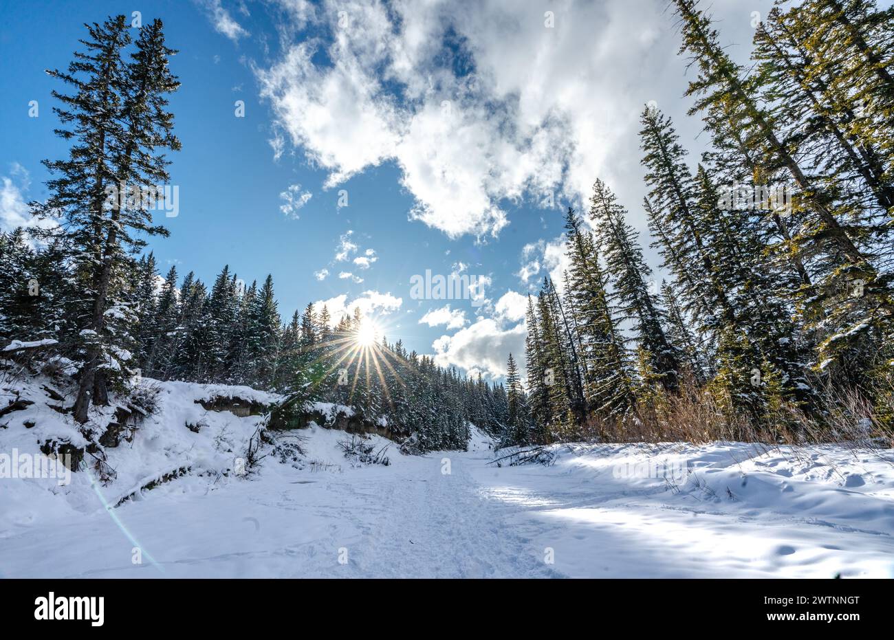 Alberta canada landscape hi-res stock photography and images - Alamy