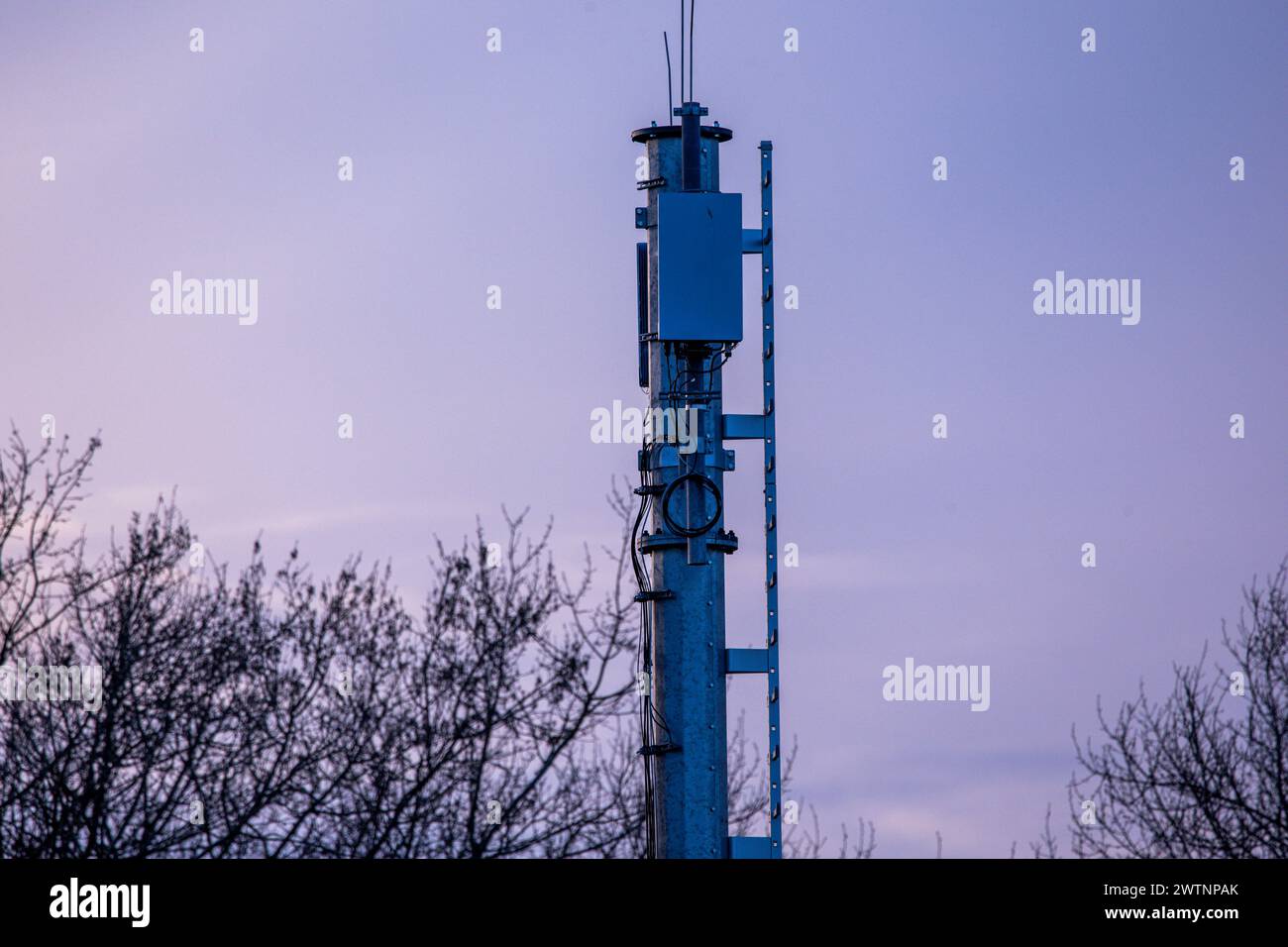 Alt Schwerin, Germany. 18th Mar, 2024. Mobile phone antennas hanging ...