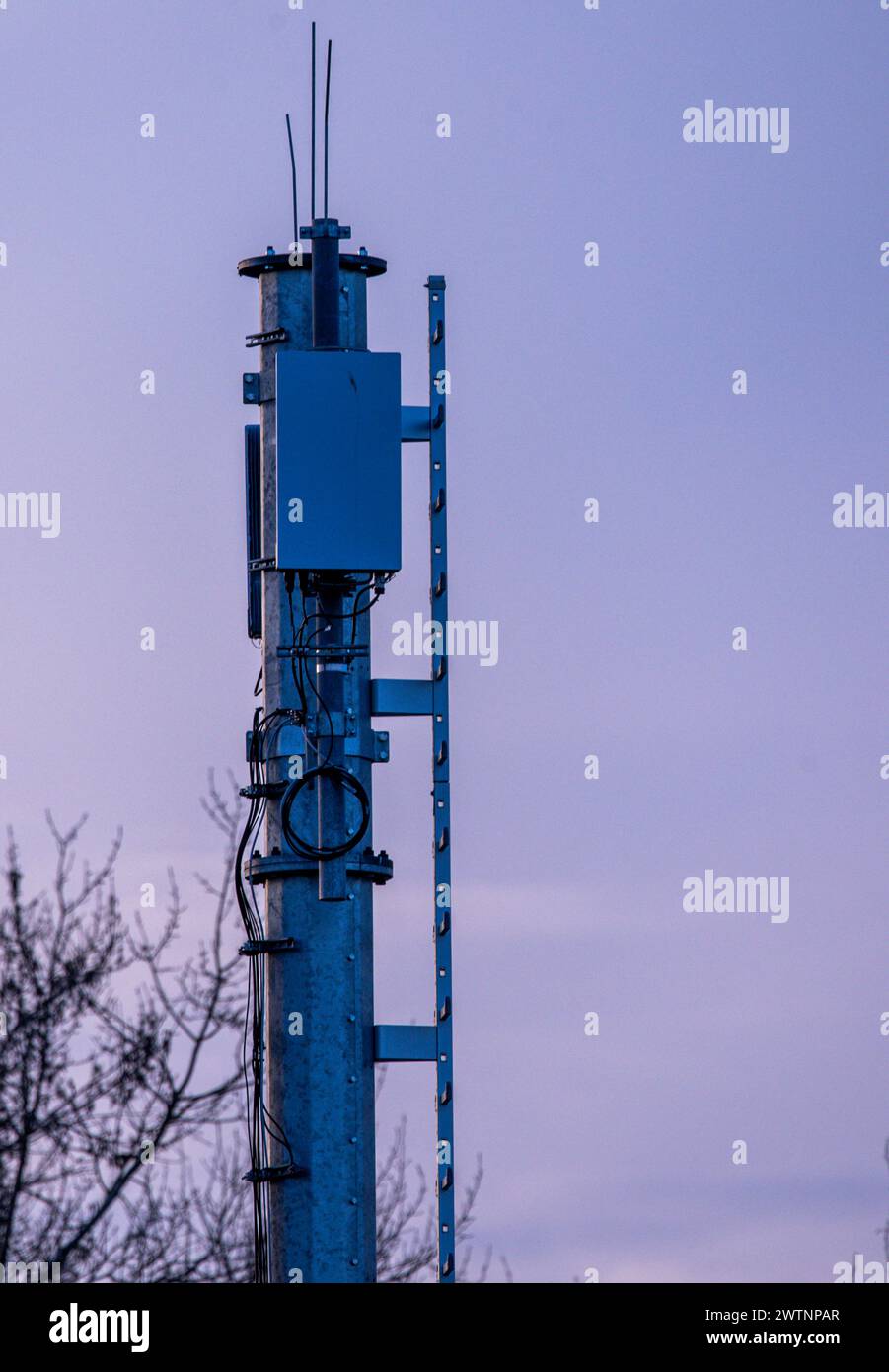 Alt Schwerin, Germany. 18th Mar, 2024. Mobile phone antennas hanging ...