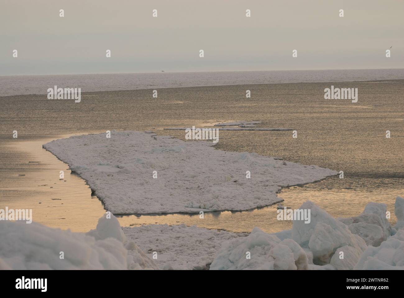Seascape of open lead rough pack ice over the Chukchi sea in springtime ...