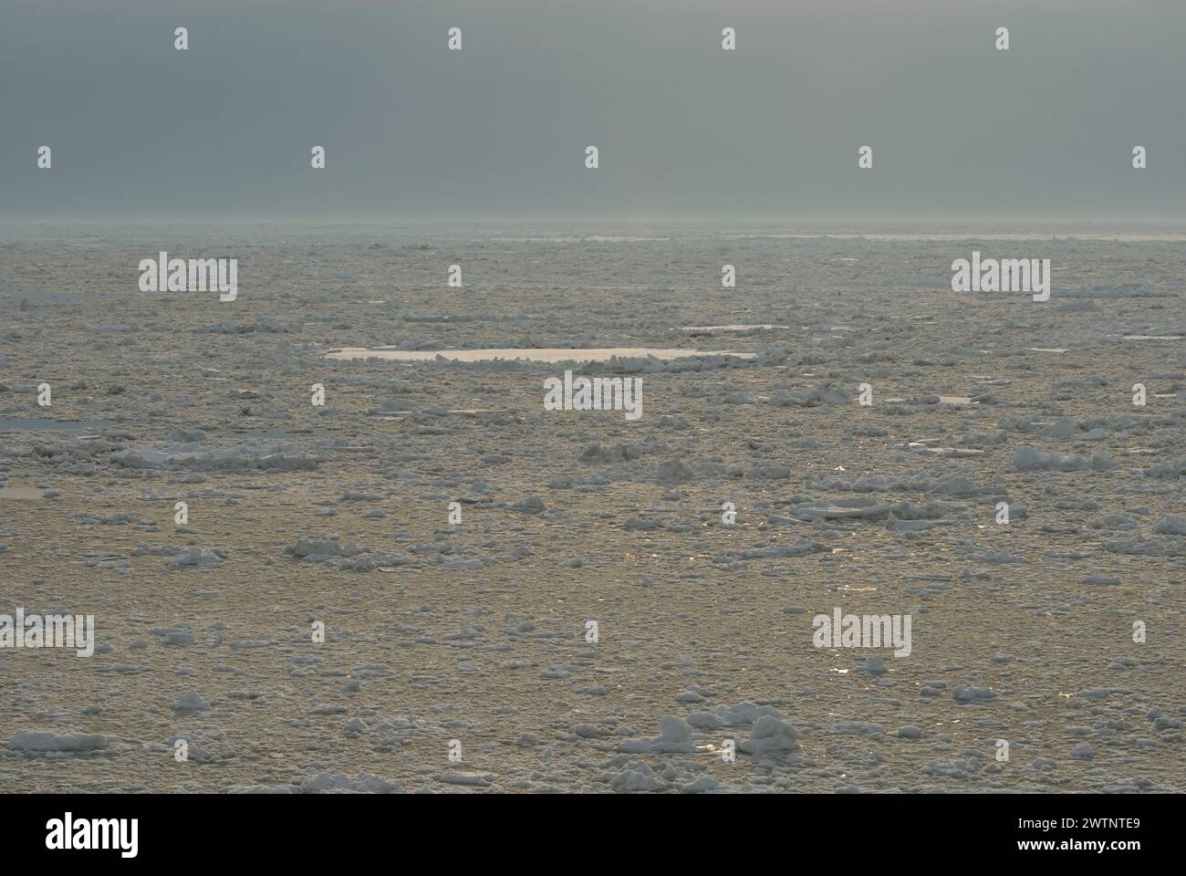 Seascape of open lead rough pack ice over the Chukchi sea in springtime ...