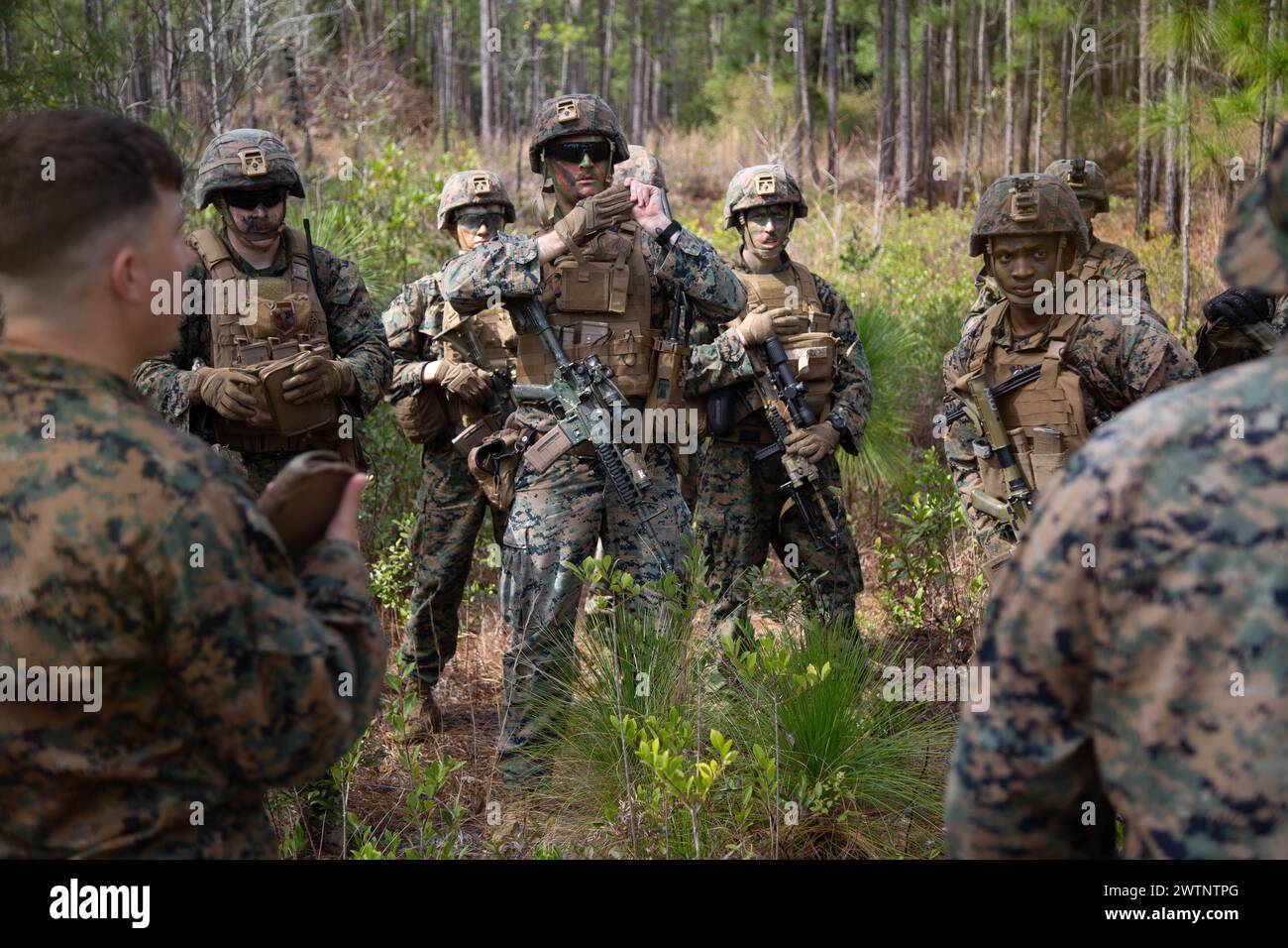 U.S. Marines with Fox Company, 4th Light Armored Reconnaissance ...