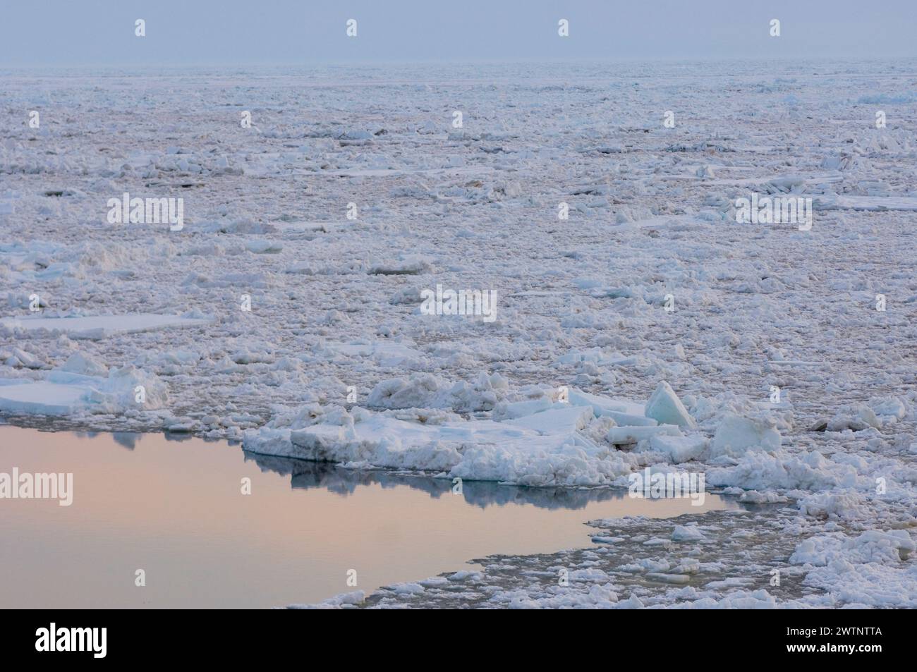 Seascape of open lead rough pack ice over the Chukchi sea in springtime ...