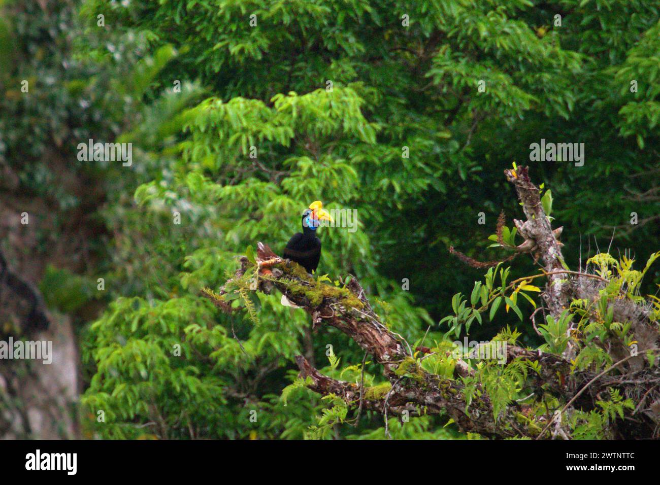 Balance of ecosystems hi-res stock photography and images - Alamy