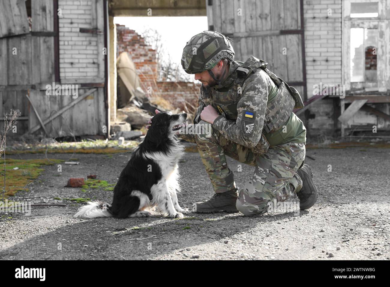 Day of ukrainian volunteer hi-res stock photography and images - Alamy