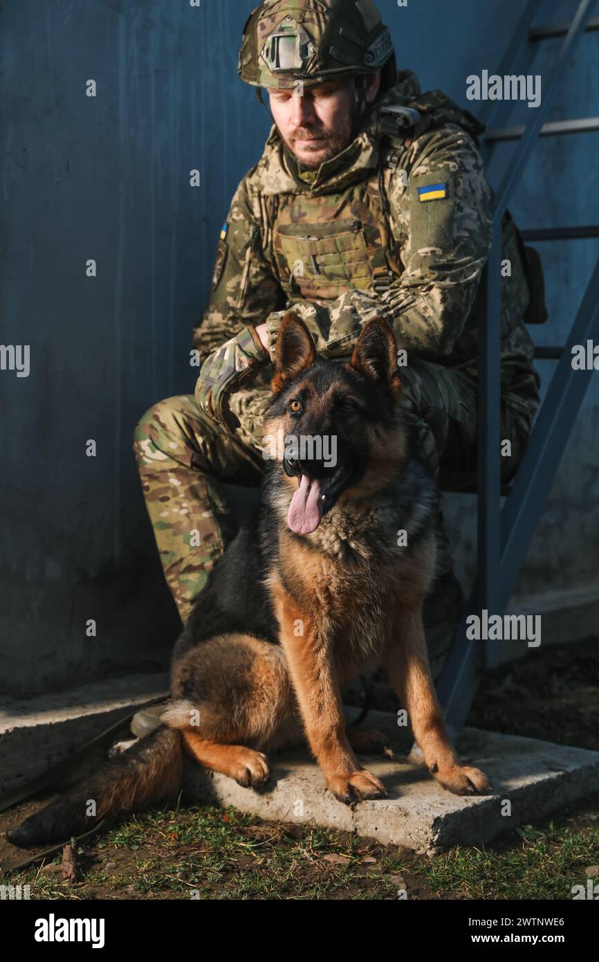 Ukrainian soldier with German shepherd dog sitting outdoors Stock Photo ...